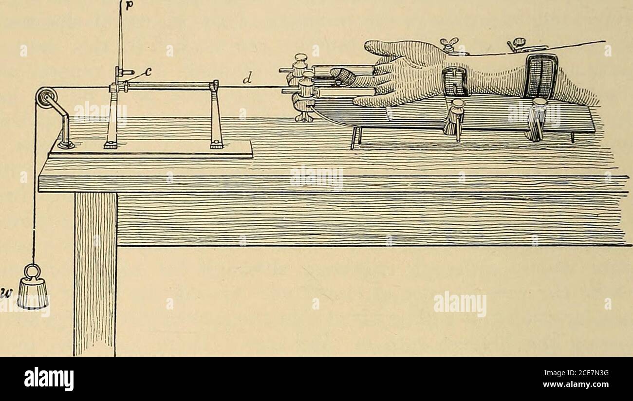 Experimented upon hi-res stock photography and images - Alamy