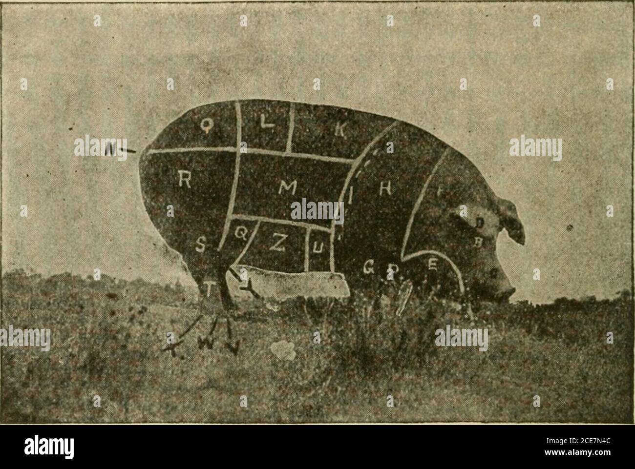 . Agriculture; a text for the school and the farm . ch sixty or eighty ...