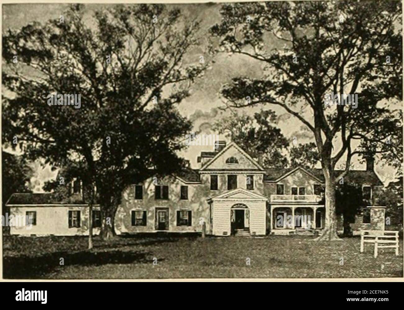 Whig party symbol hi-res stock photography and images - Alamy