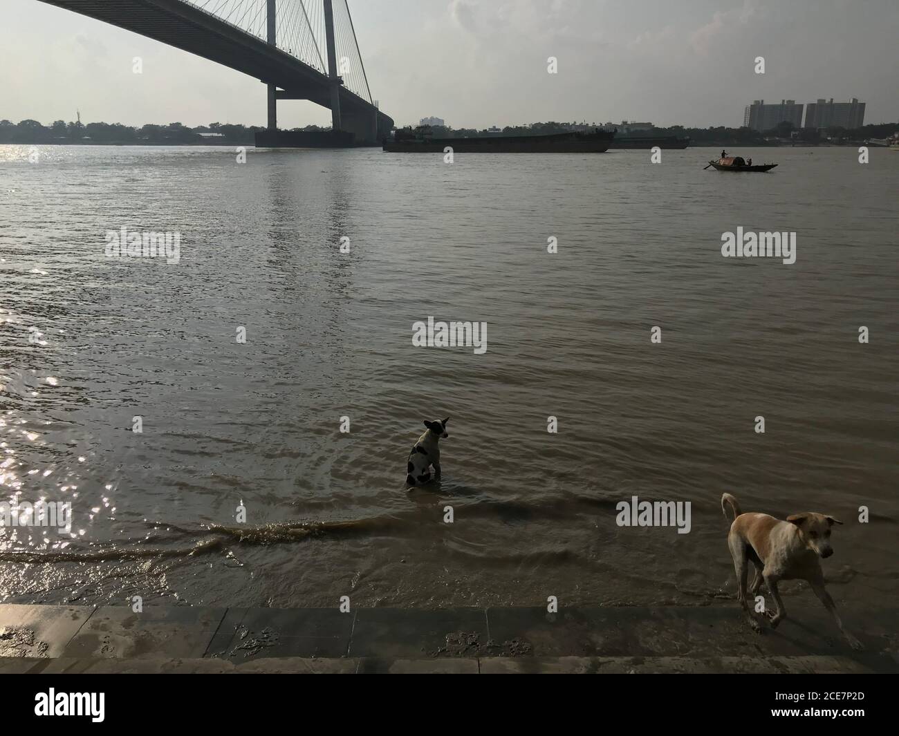 Timelapse video of Howrah Bridge on Hoogly River, Kolkata Stock Photo ...