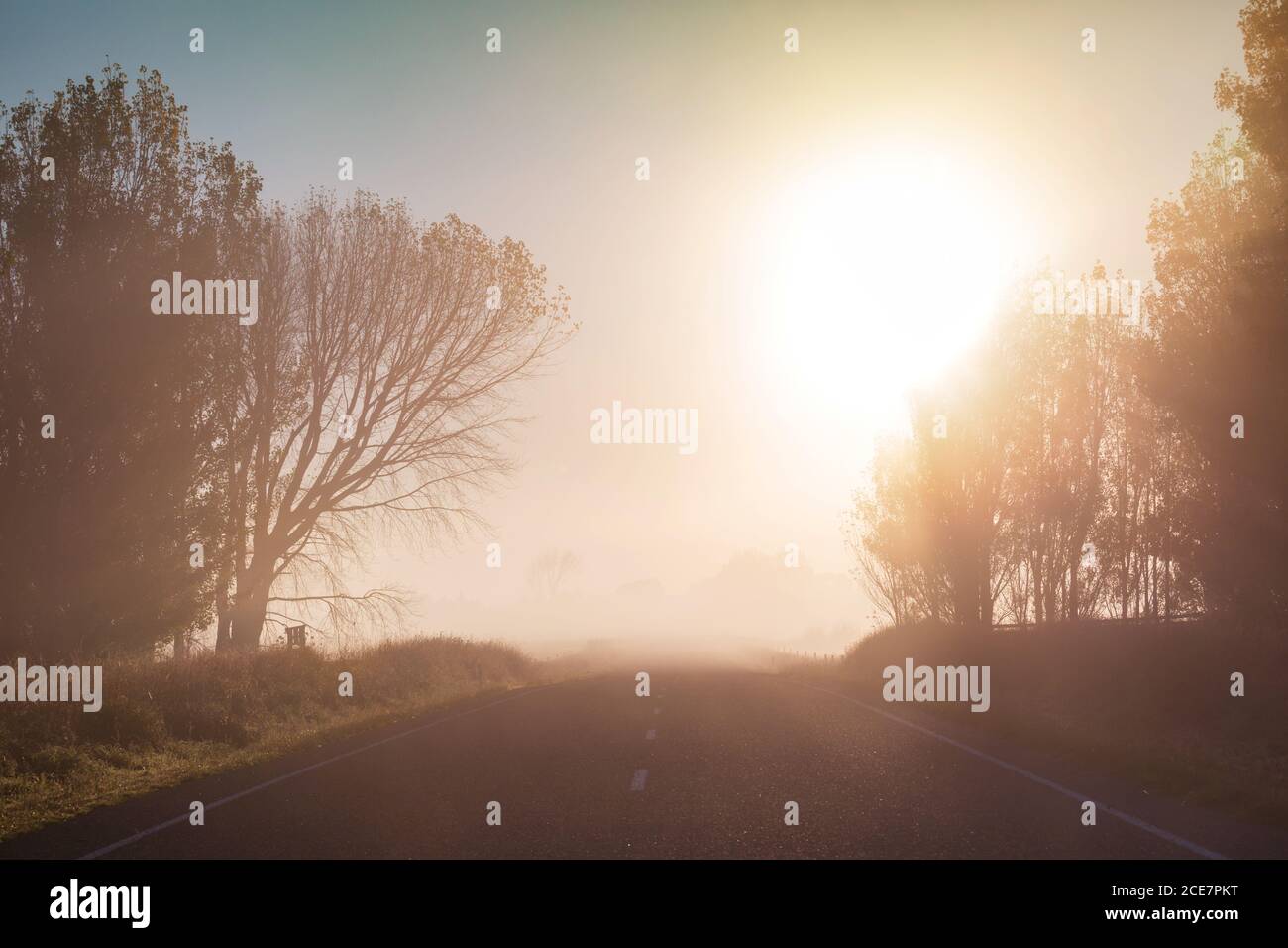 Country road fields dark night hi-res stock photography and images - Alamy