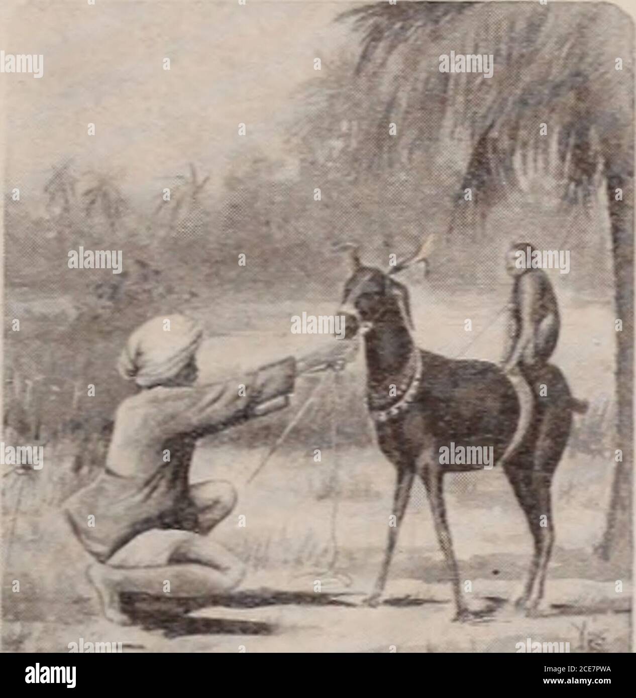 Ifit tree hi-res stock photography and images - Alamy