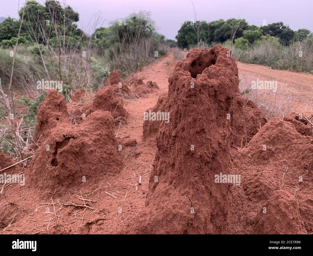 Colony on hills hi-res stock photography and images - Alamy