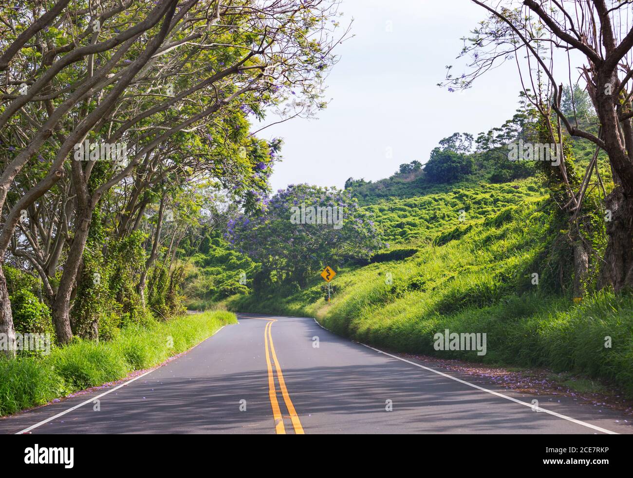 Road on Hawaii Stock Photo - Alamy