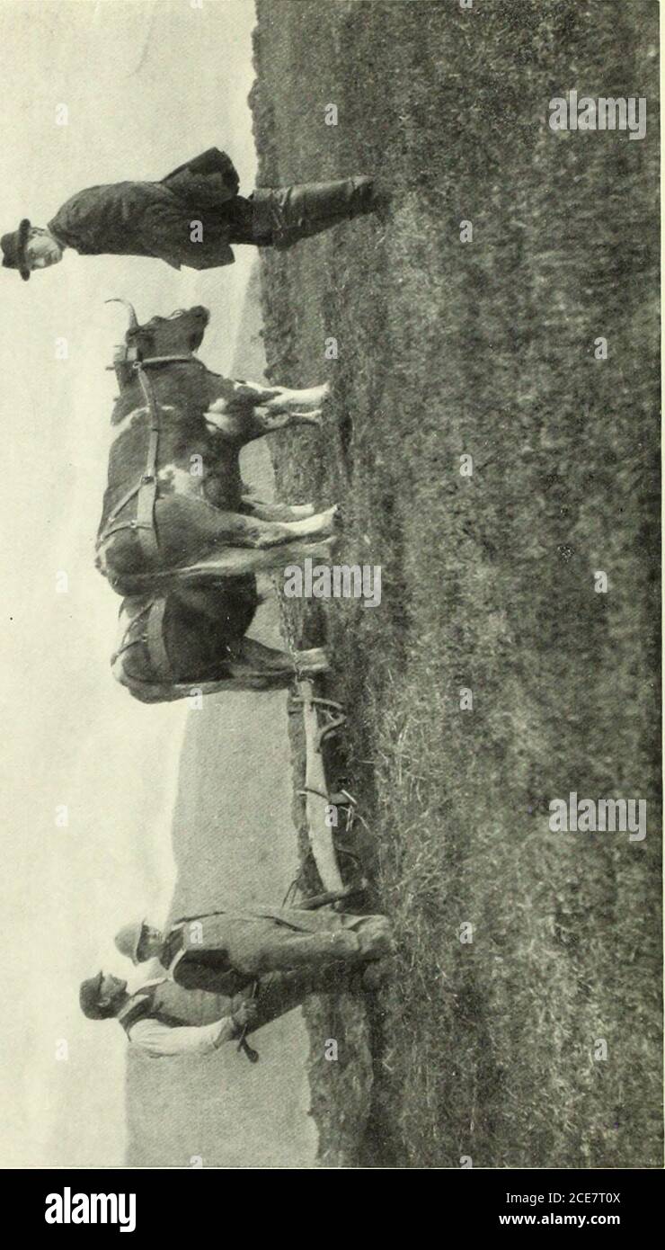 . Stowe notes, letters and verses . o t/5 W J.973 / STOWE NOTESLETTERS ...