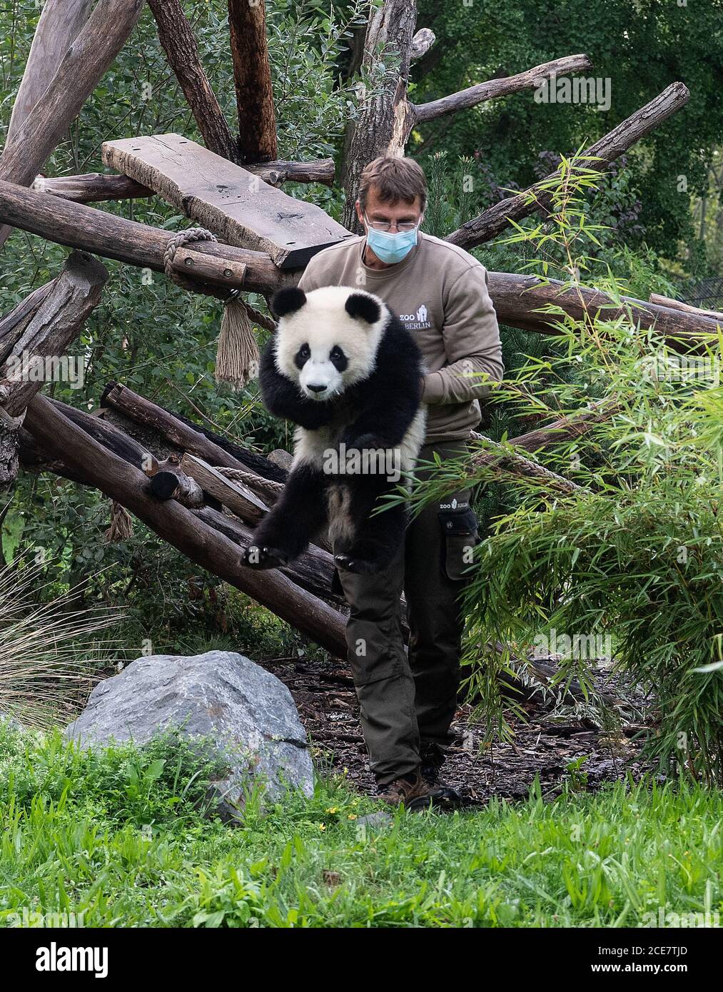 Berlin, Germany. 31st Aug, 2020. A keeper of the Berlin Zoo carries one ...