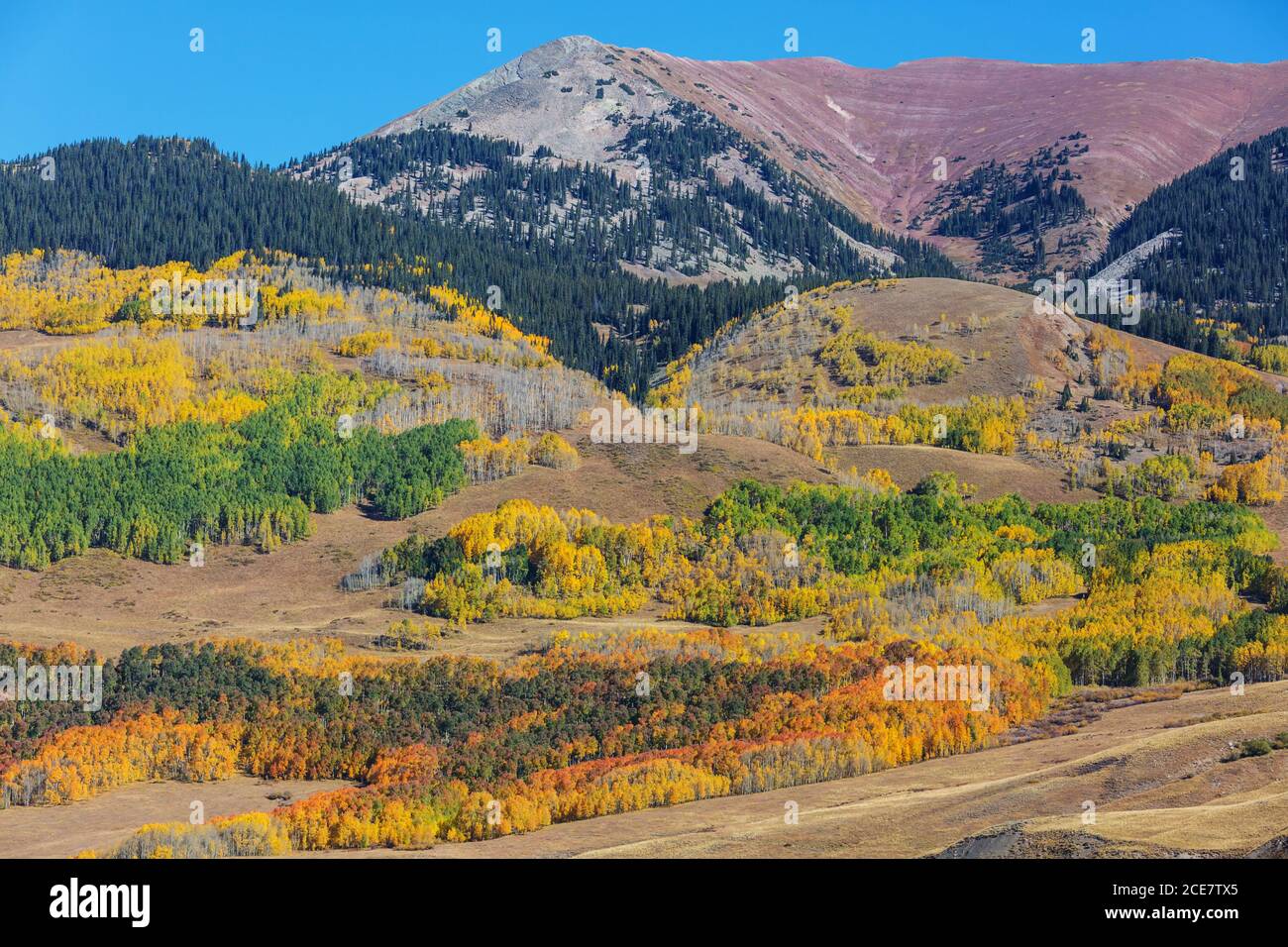 Autumn in Colorado Stock Photo - Alamy