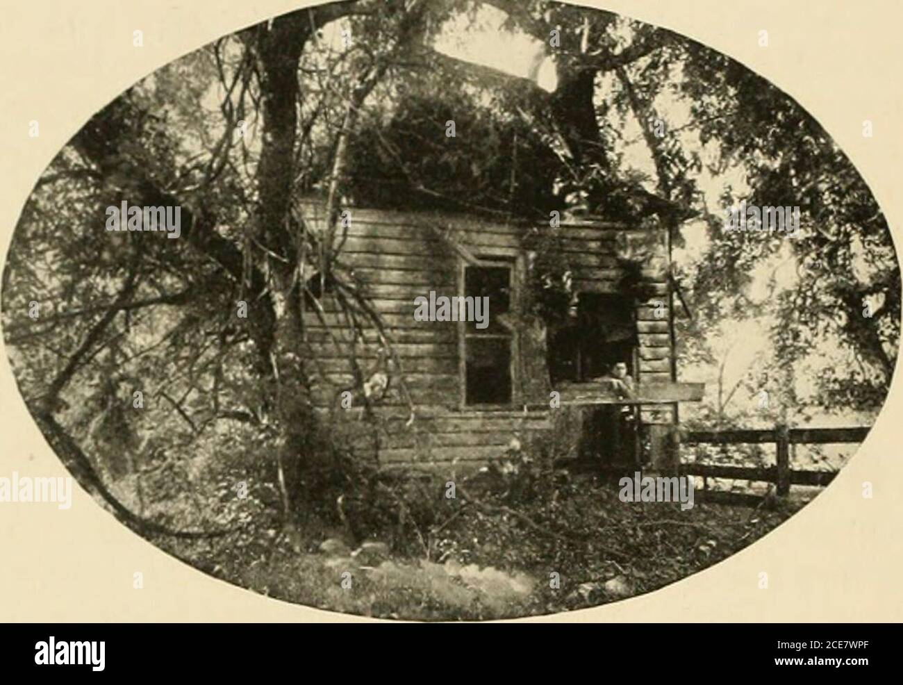 . Historic Virginia homes and churches . s Jane, a daughter of Isham ...