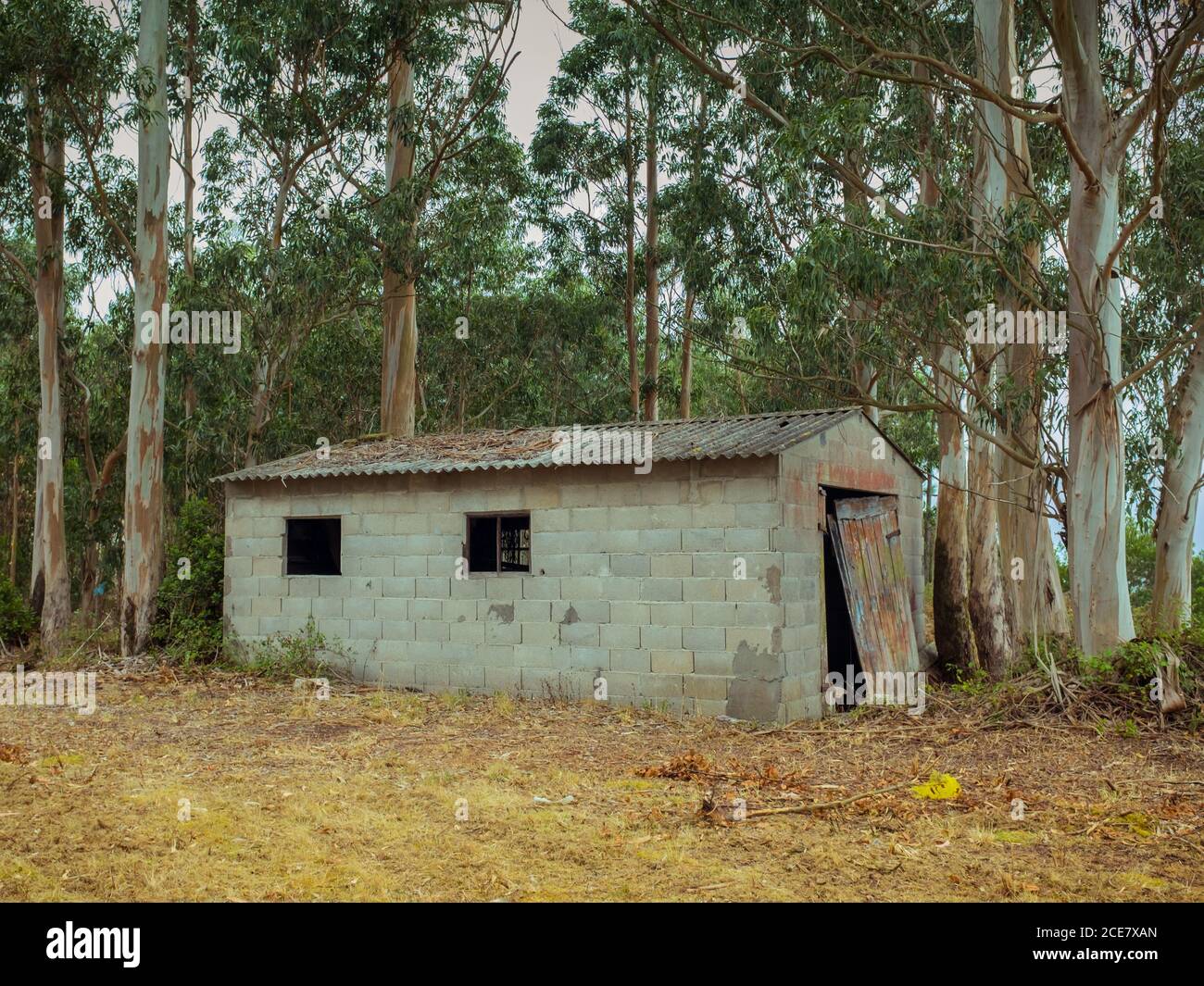 Exterior of old partially destroyed rectangular brick building with ...