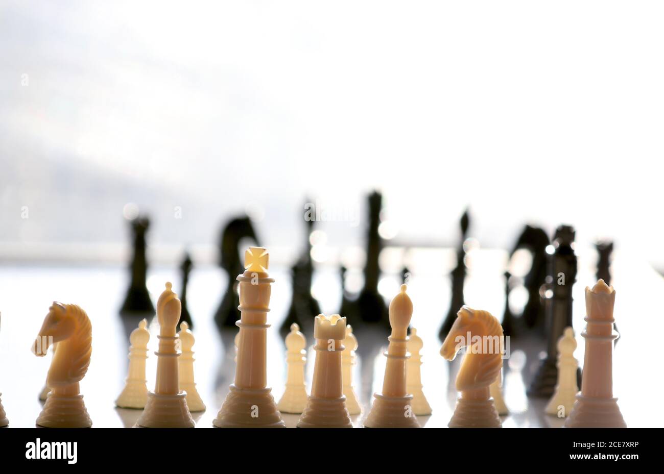 Chess Pieces natural light Stock Photo - Alamy