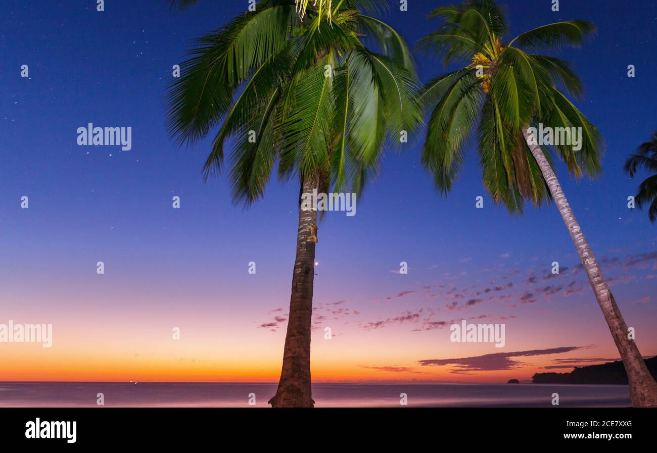 Tropical beach at dark Stock Photo - Alamy