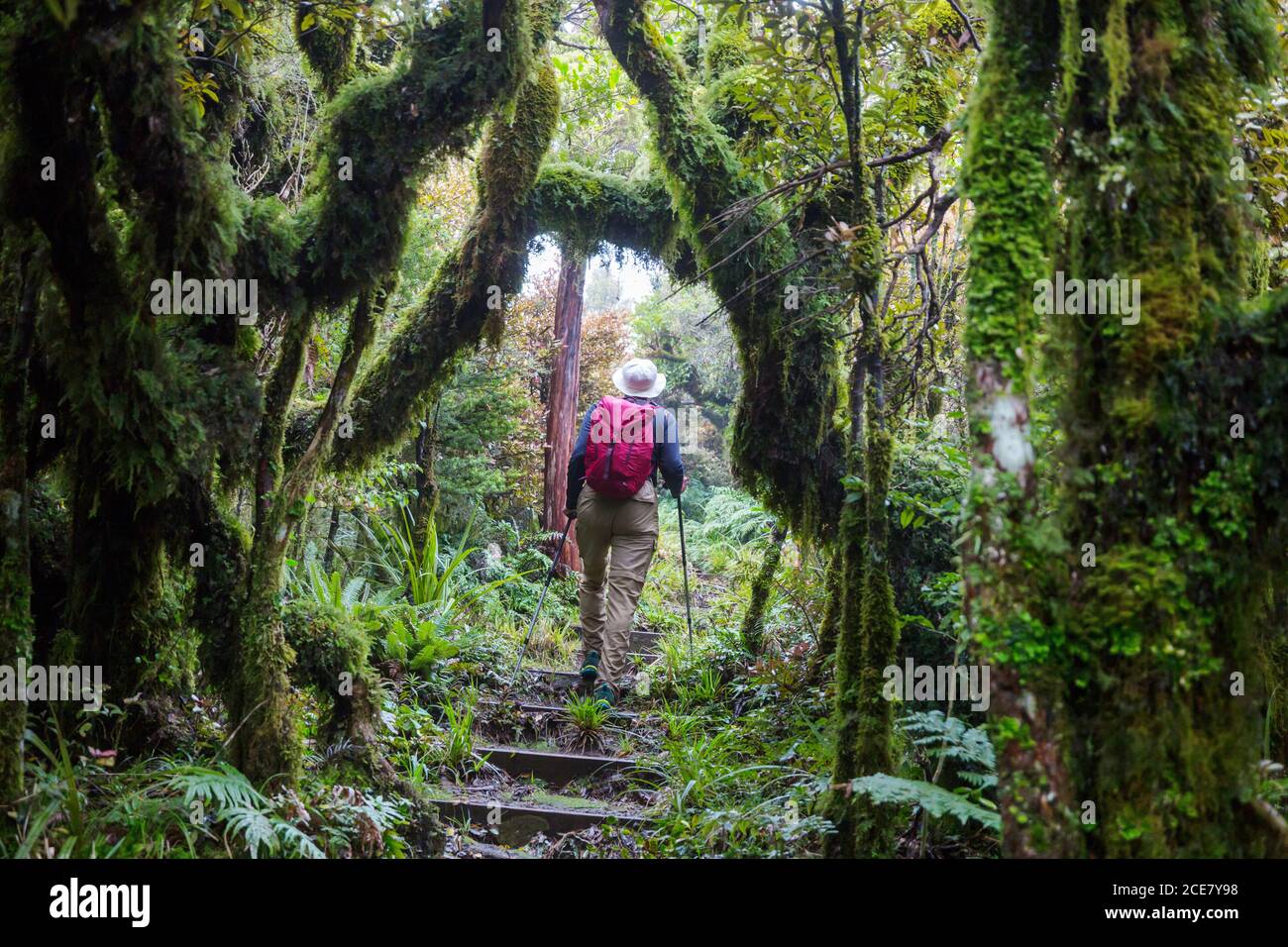 People tramping hi-res stock photography and images - Alamy