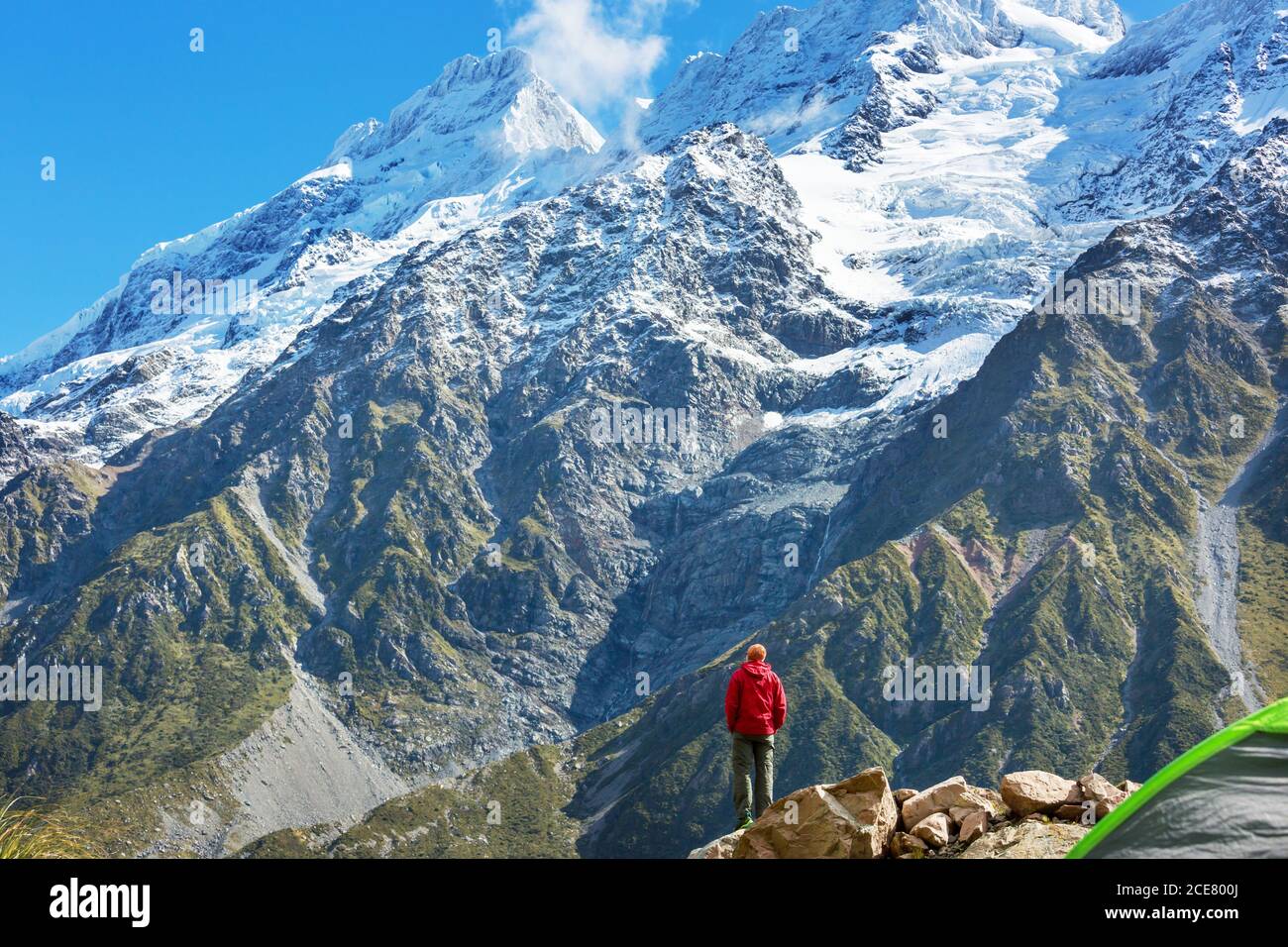 Maori person new zealand hi-res stock photography and images - Alamy
