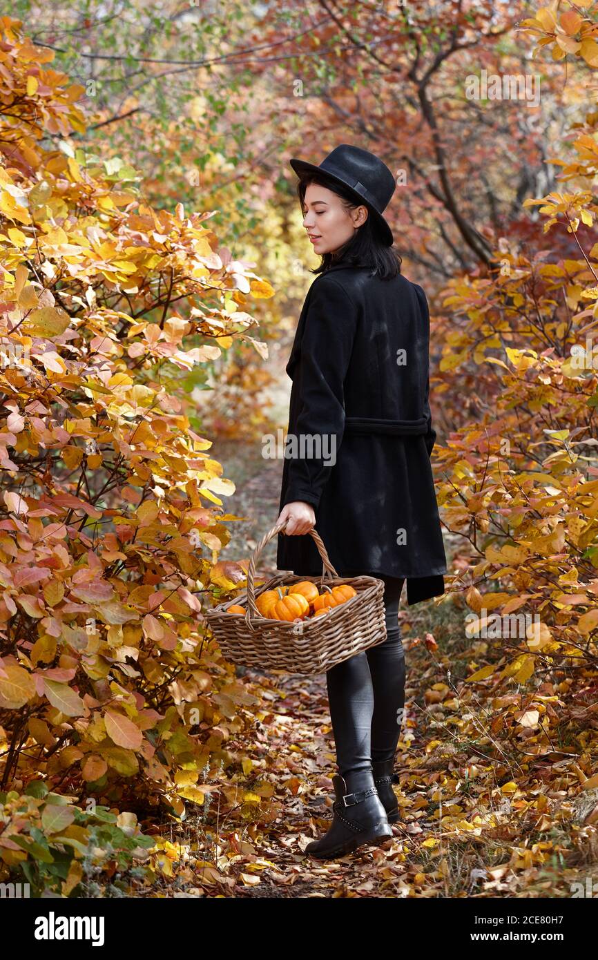 Woman in black with Halloween pumpkins in autumn forest, witch ...