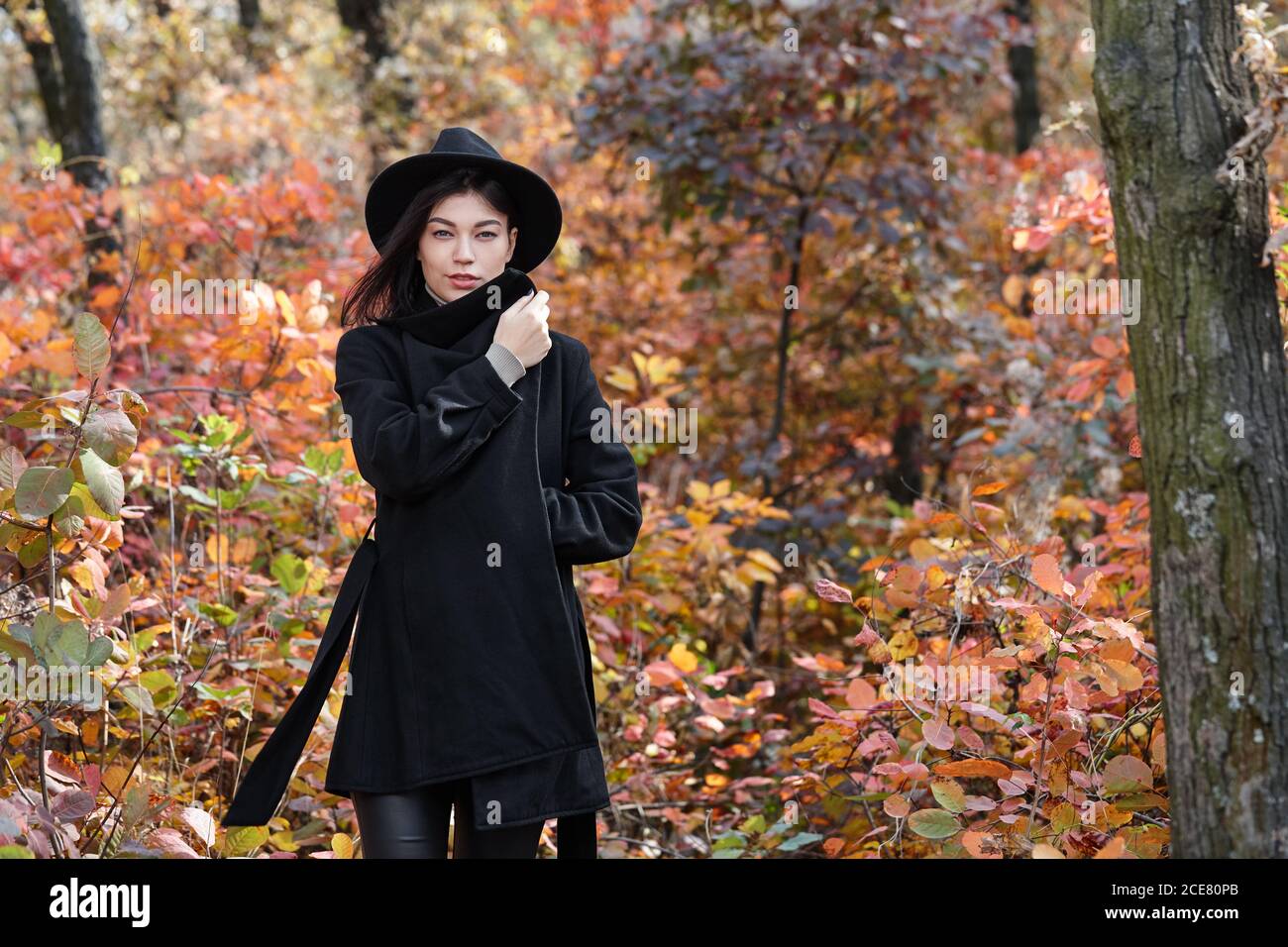 Woman in black clothing with in autumn forest, witch character Stock ...