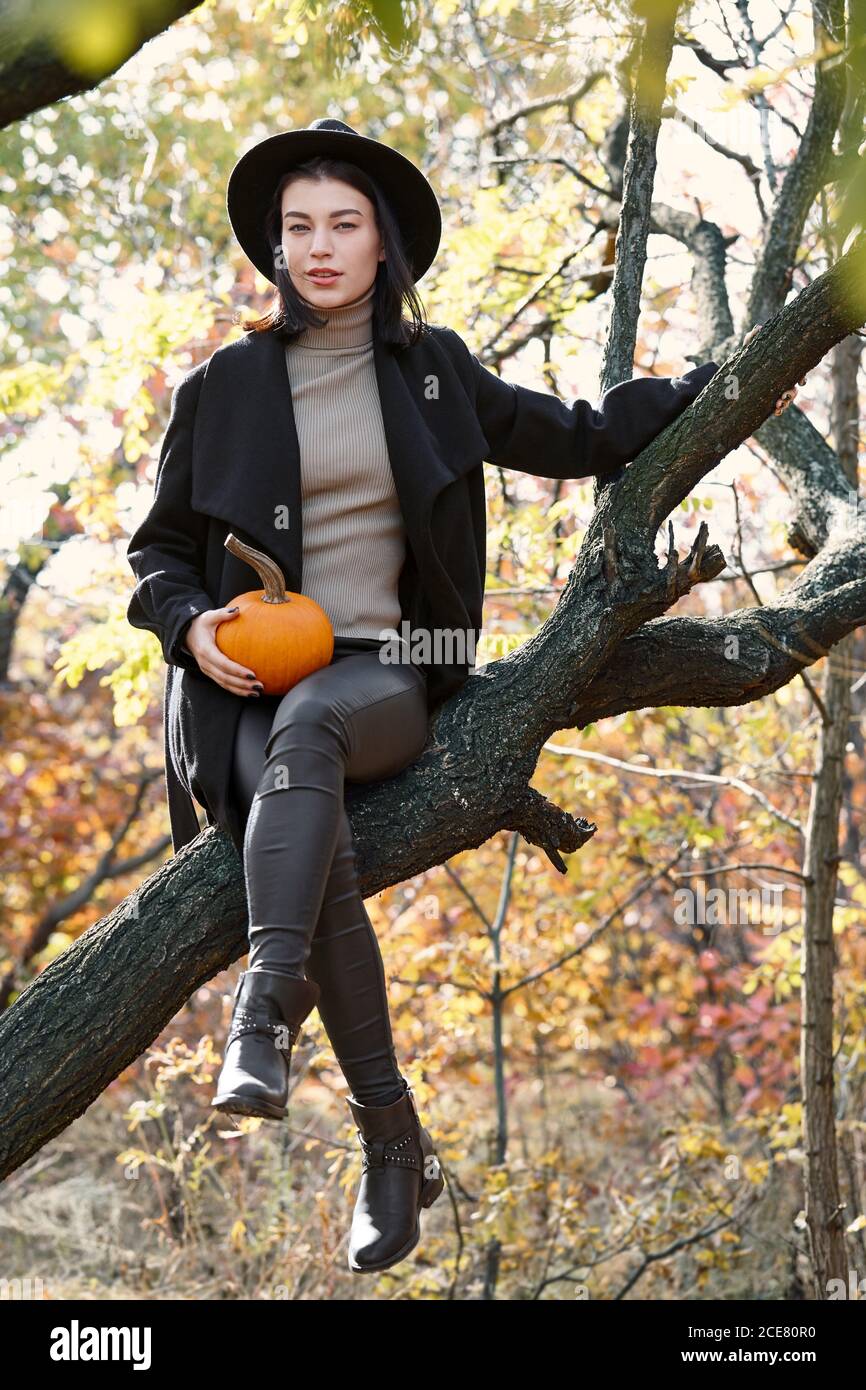 Woman in black on a tree with Halloween pumpkin in autumn forest, witch ...