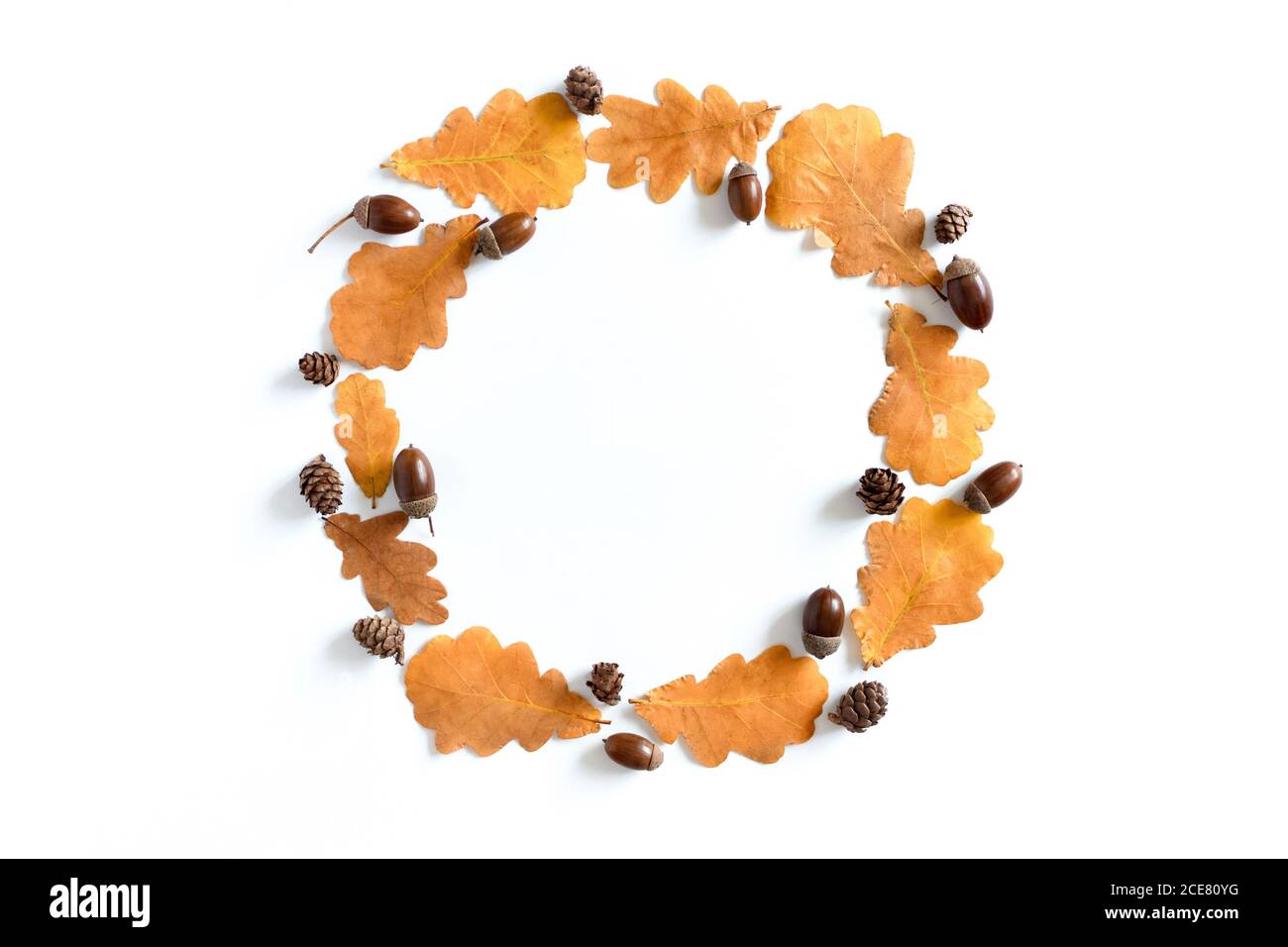 Round foliage border Cut Out Stock Images & Pictures - Alamy