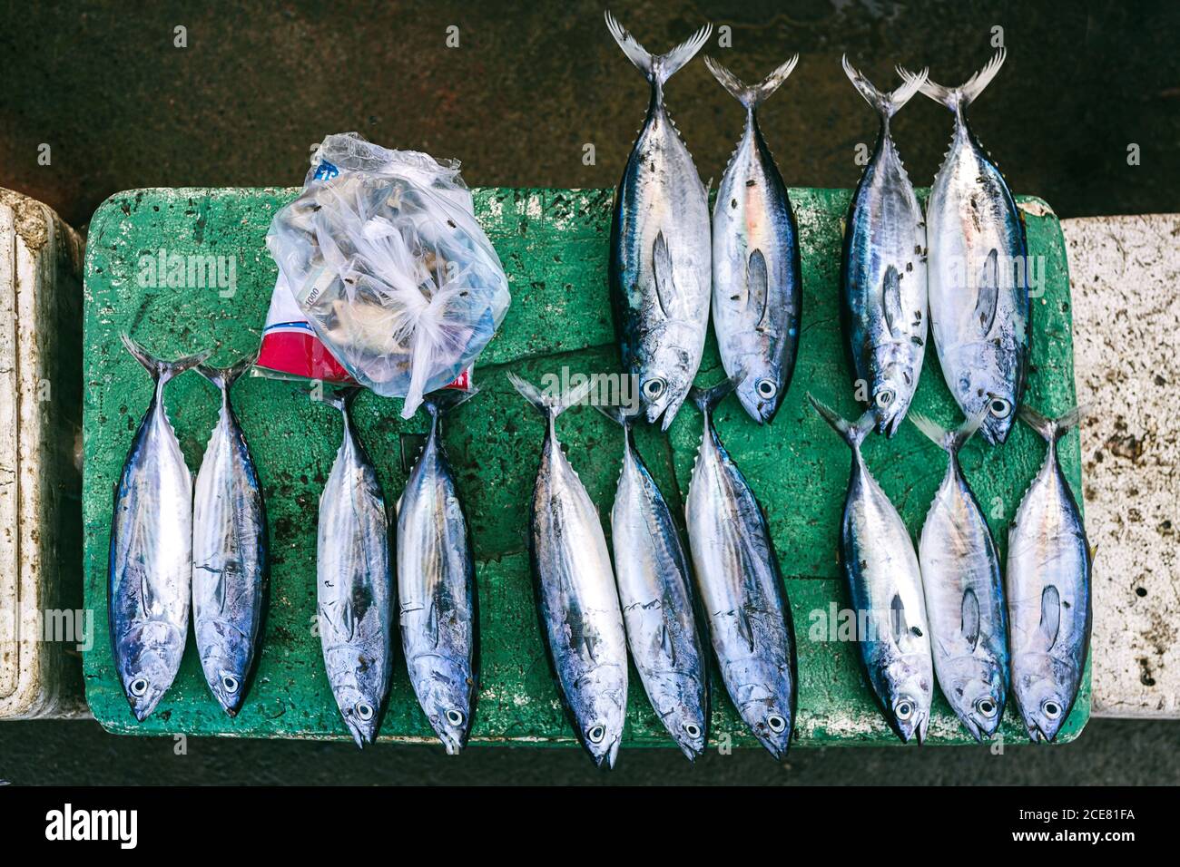 Seafood Ingredient Border High Resolution Stock Photography and Images ...