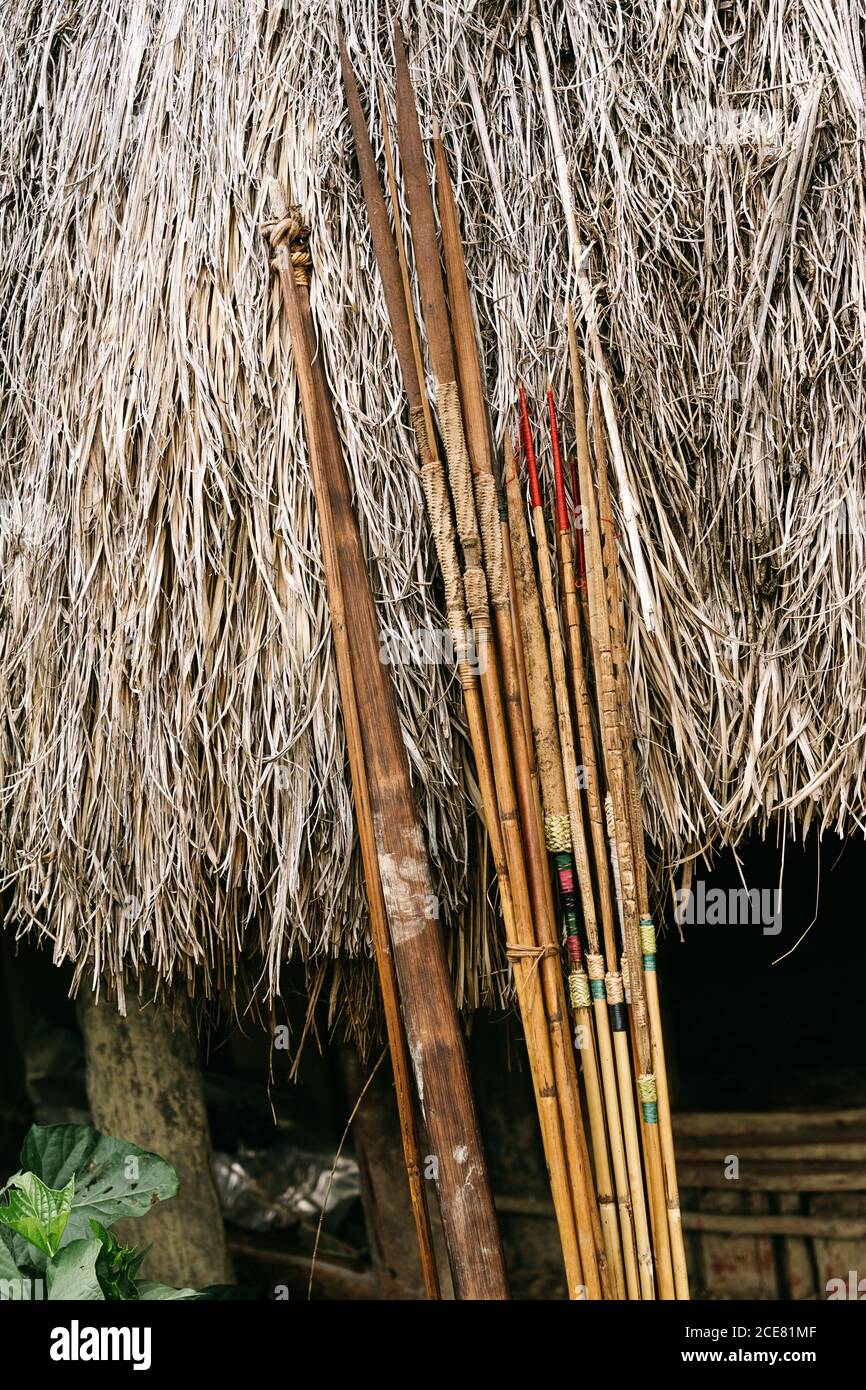 Various bamboo arrows placed near house with thatched roof in ...