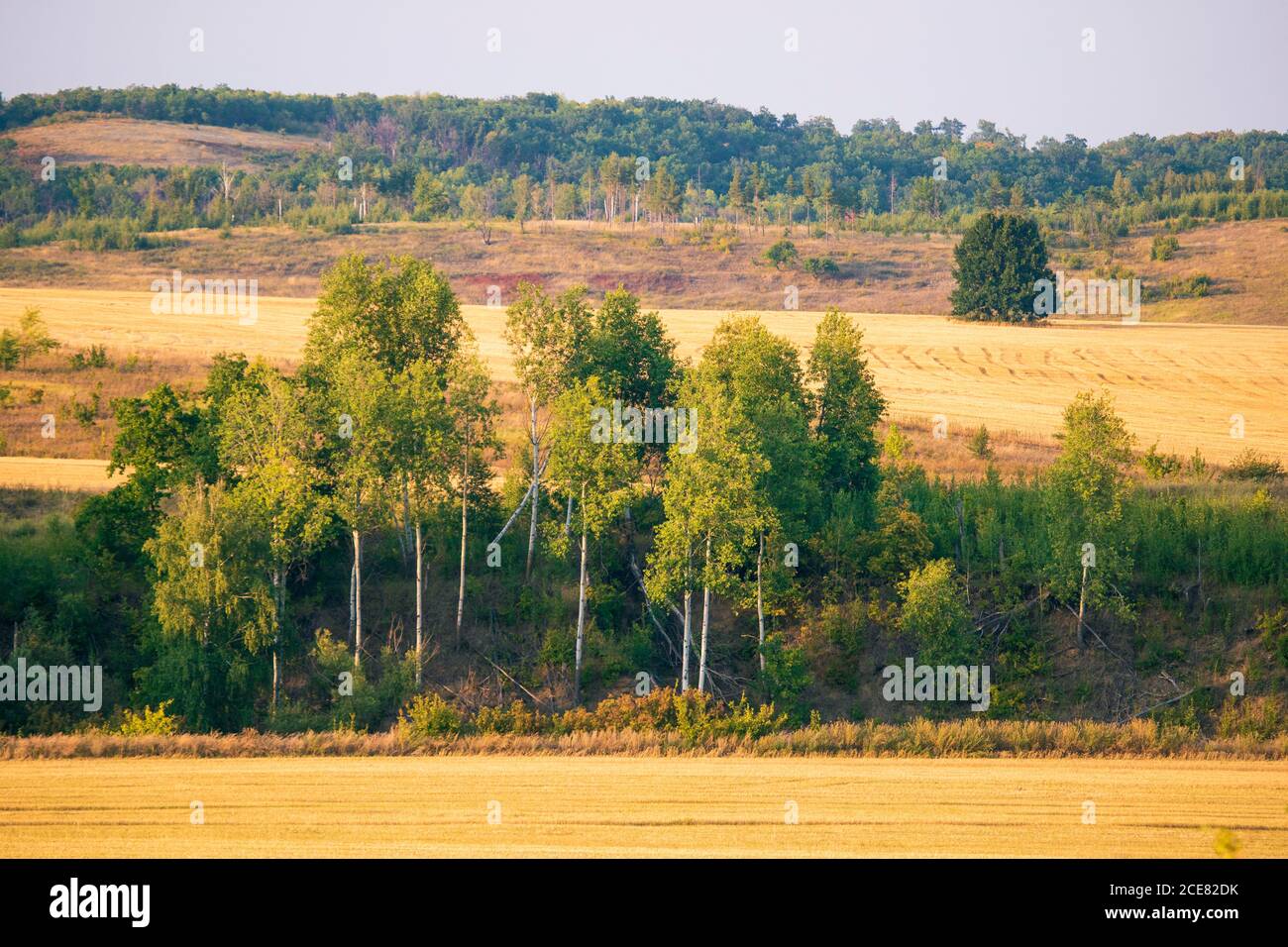 Aerial view harvest fields forest hi-res stock photography and images ...