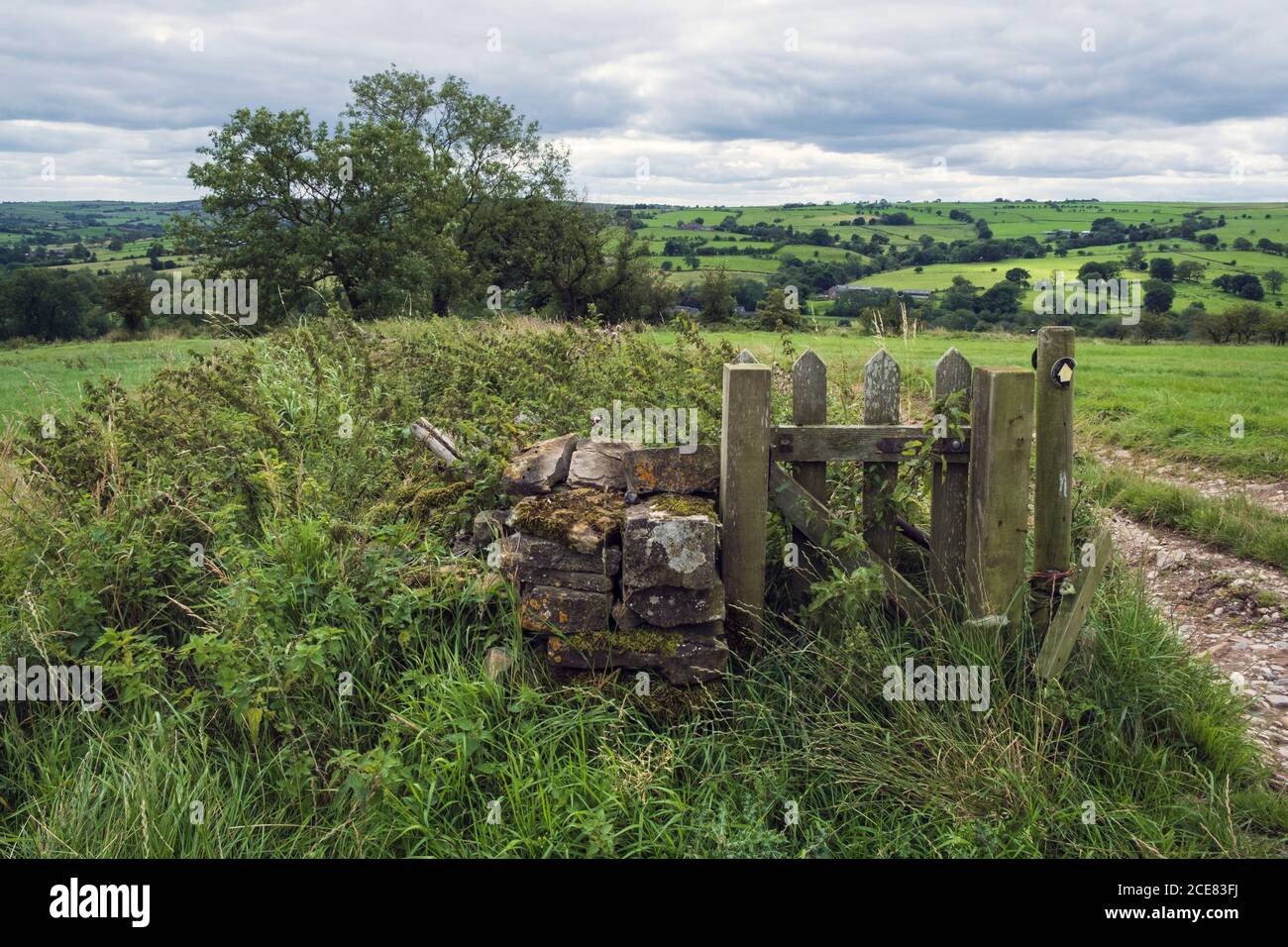 Overgrown unused footpath gate near Ford, Peak District National Park ...