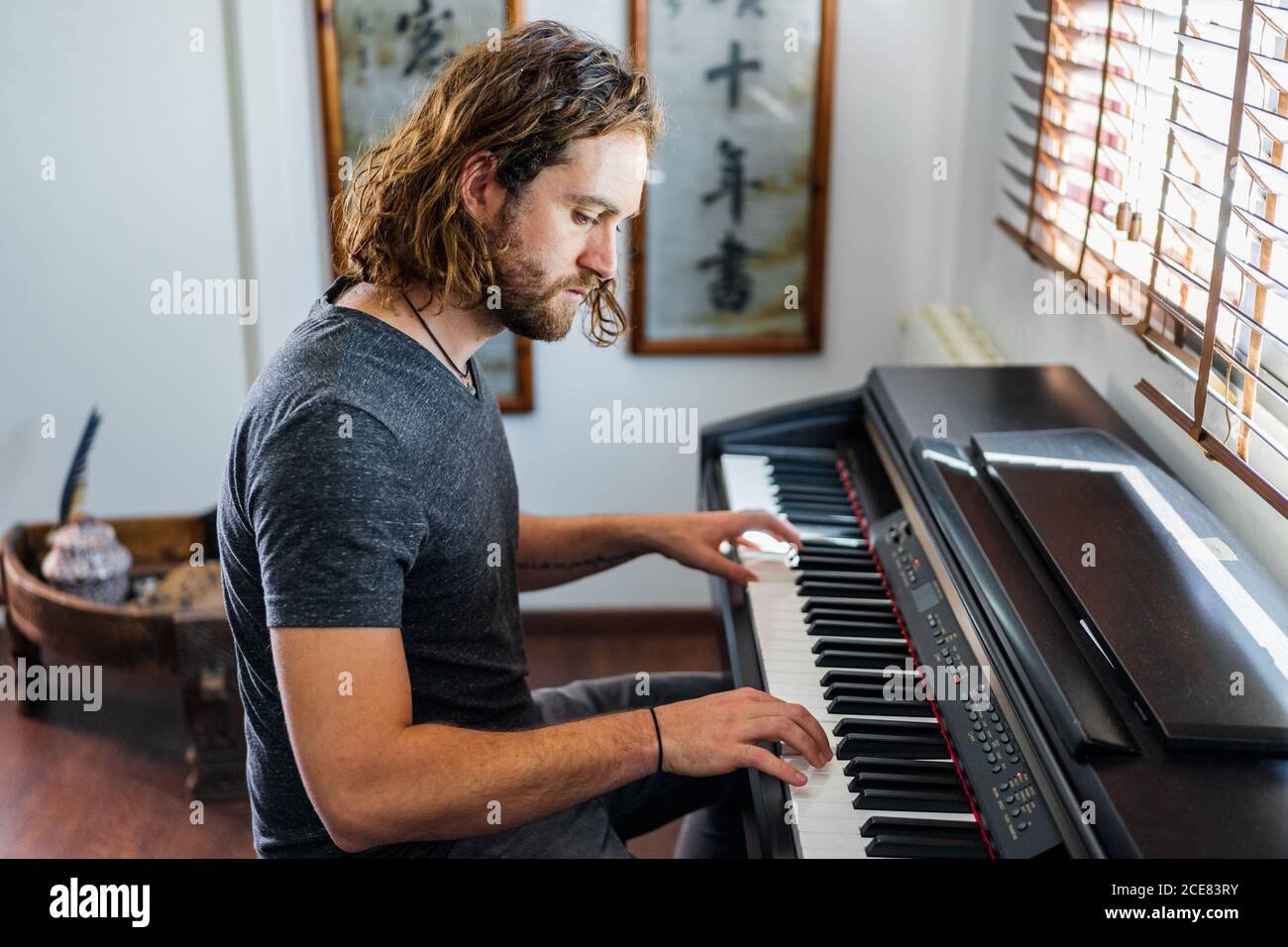 Serious piano player hi-res stock photography and images - Alamy