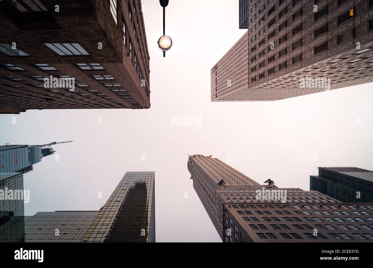 From below exterior of modern skyscrapers with contemporary design ...