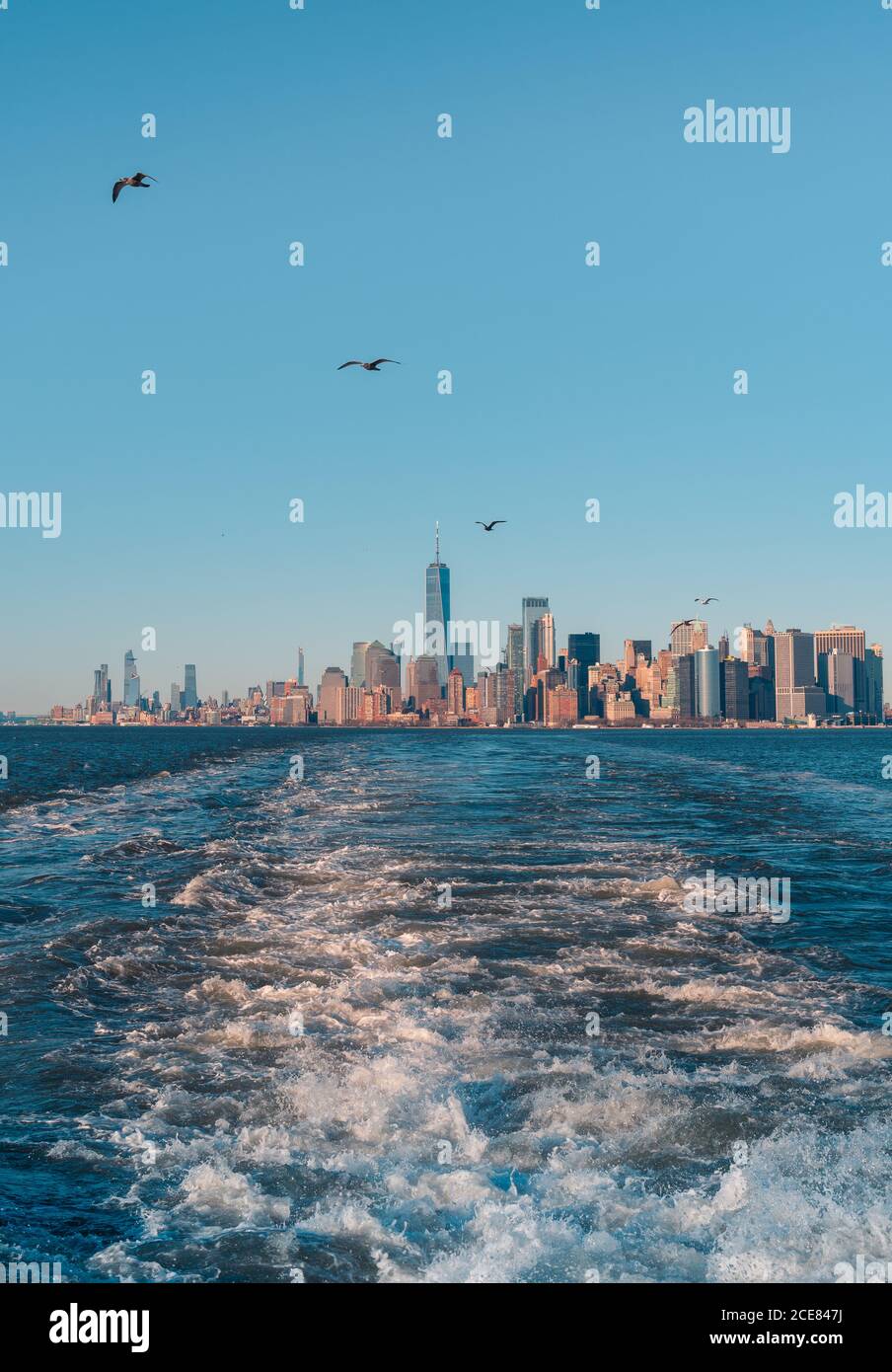 Manhattan bird view hi-res stock photography and images - Alamy