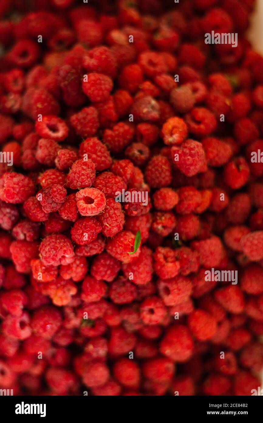 Lots of bright raspberries. Background, picture for postcard Stock ...