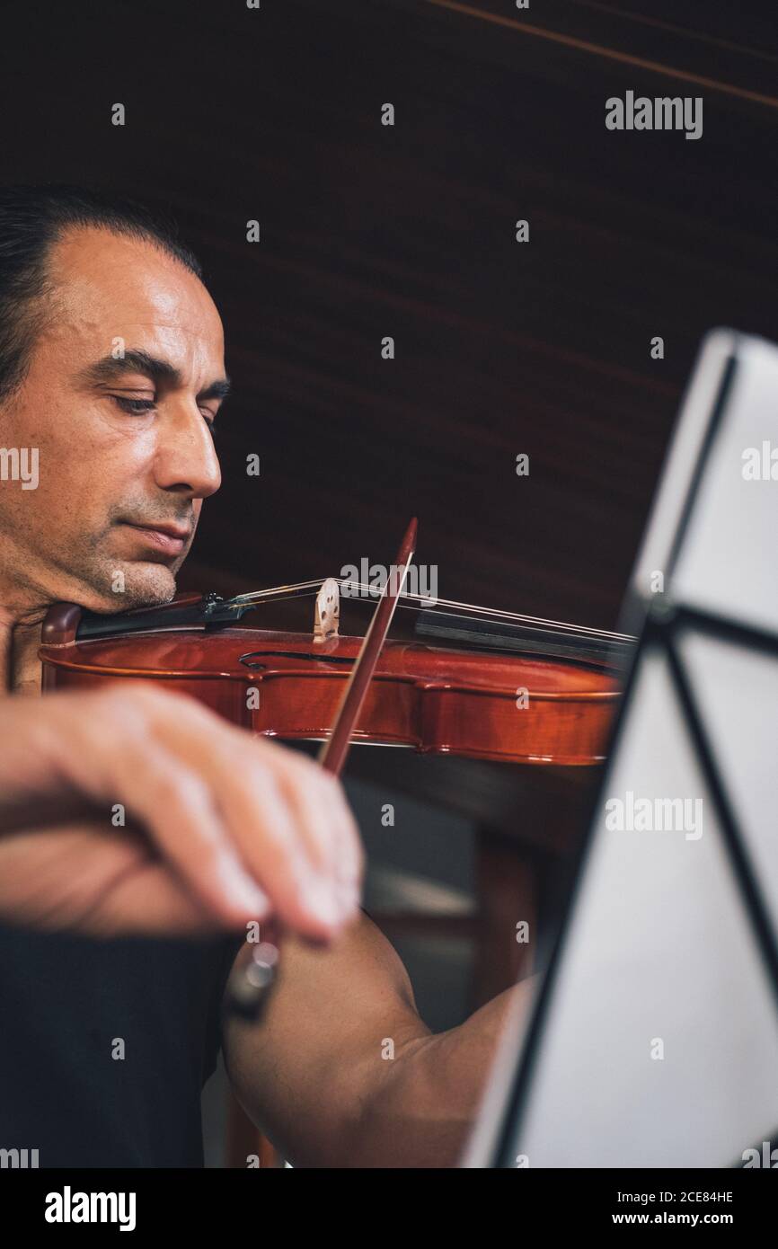 Talented focused Hispanic male violinist playing violin during ...