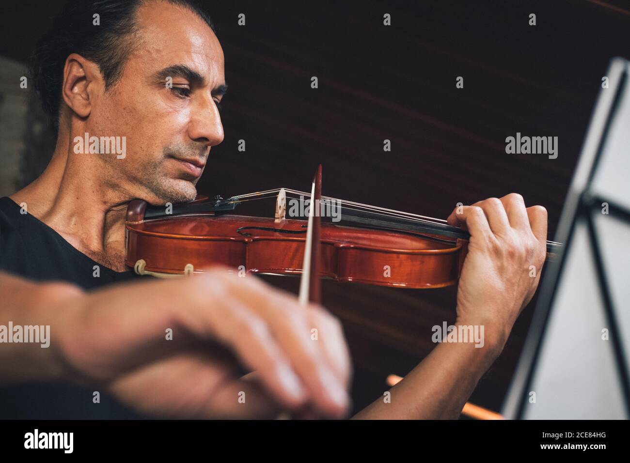Talented Hispanic male violinist playing violin and looking at music ...