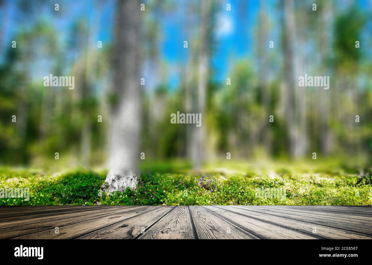 Plants and trees background Stock Photo - Alamy