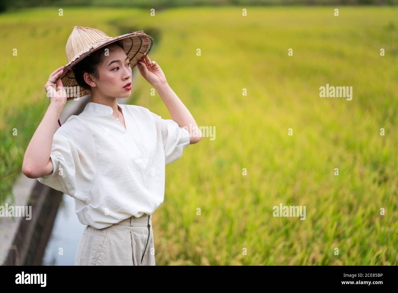 Asian cone hat hi-res stock photography and images - Alamy