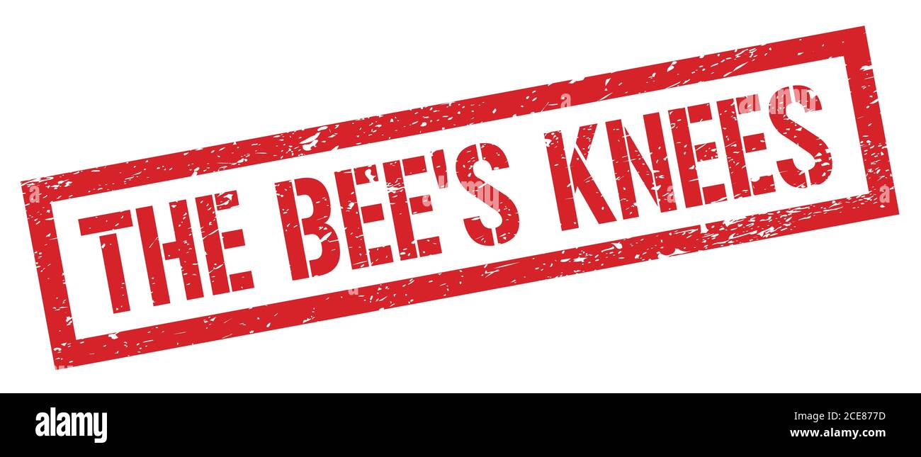 The bees knees word hi-res stock photography and images - Alamy
