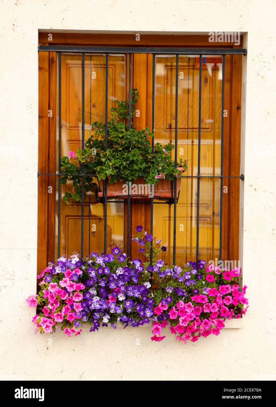 Barred window with closed wooden shutters and window boxes full of ...