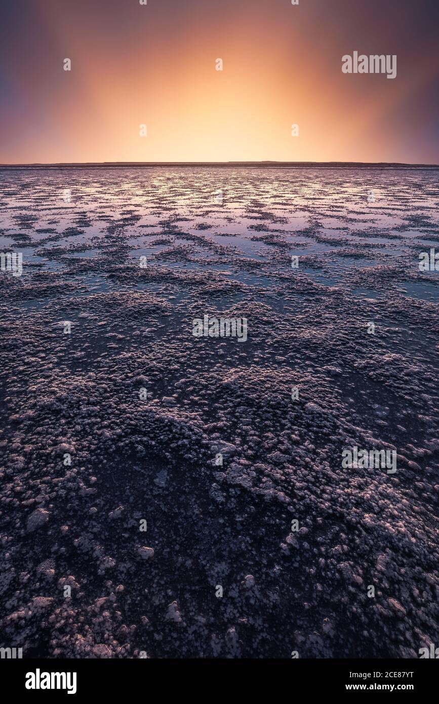 Damp terrain hi-res stock photography and images - Alamy