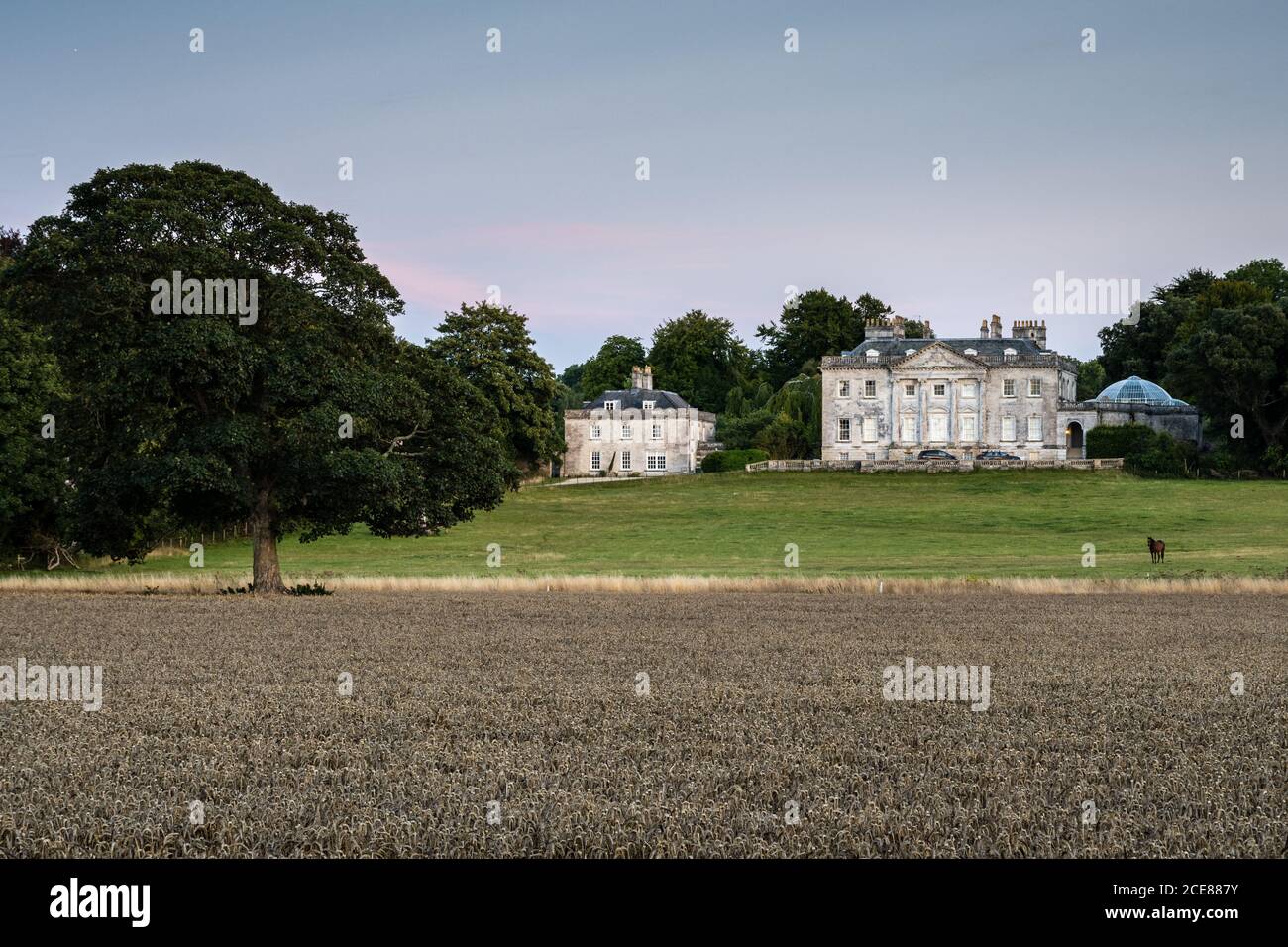 Came Down House, a Georgian Palladian mansion, stands in parkland and ...