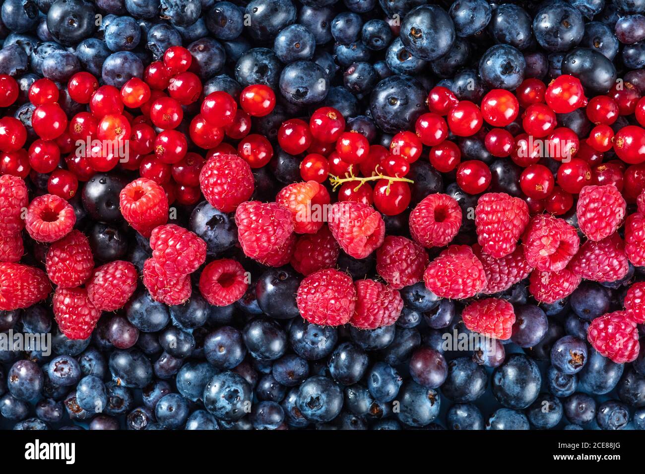 Fresh blueberries, red currants and raspberries texture, shot from the ...
