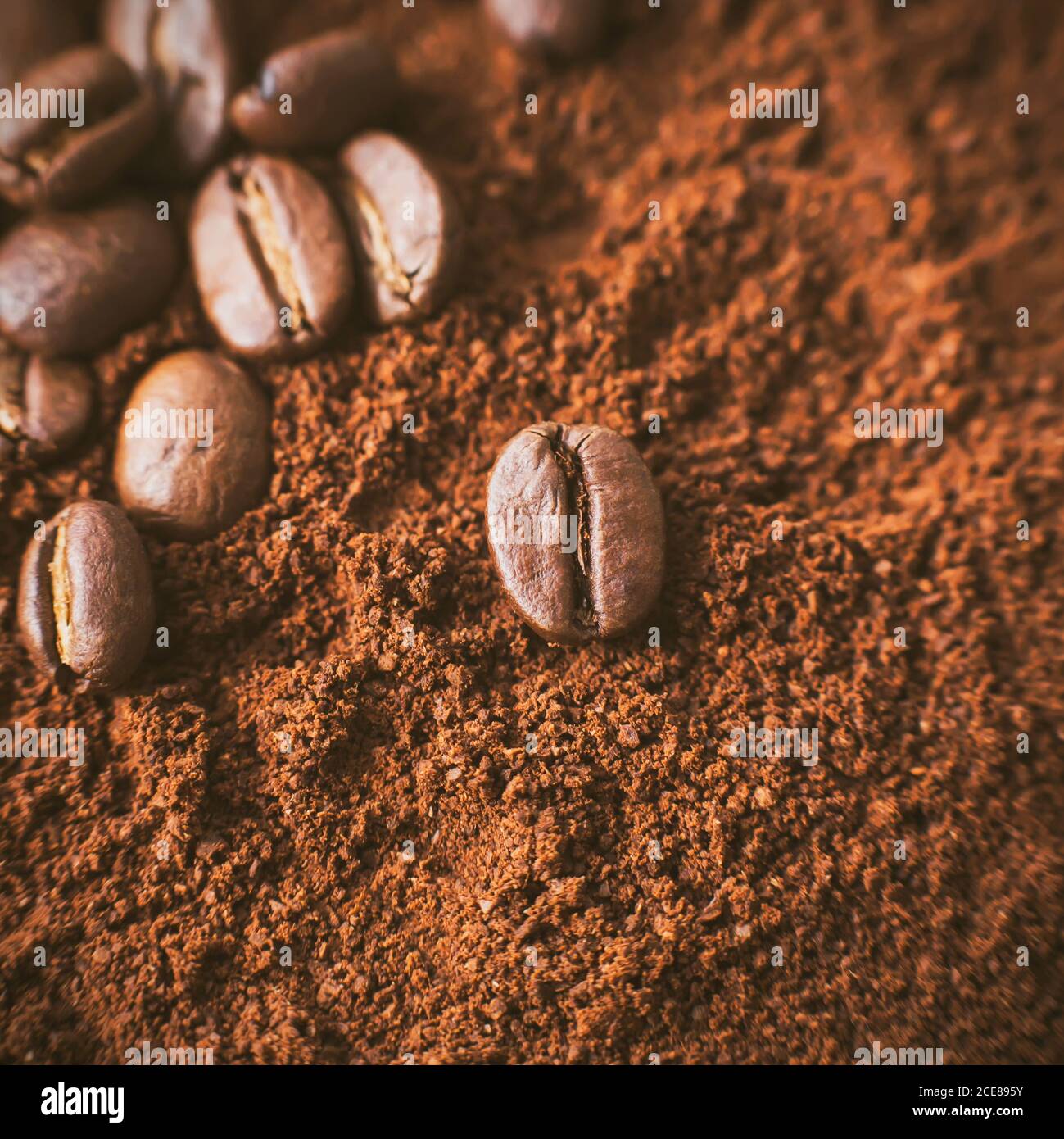 On the background of the ground coffee are roasted aromatic natural ...