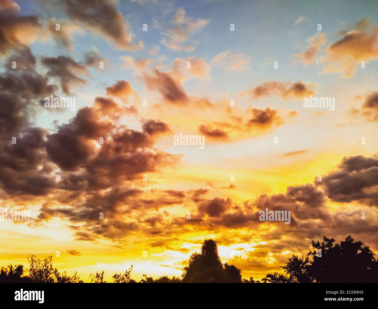 Beautiful golden sky panorama view in the evening. Beautiful golden sky ...