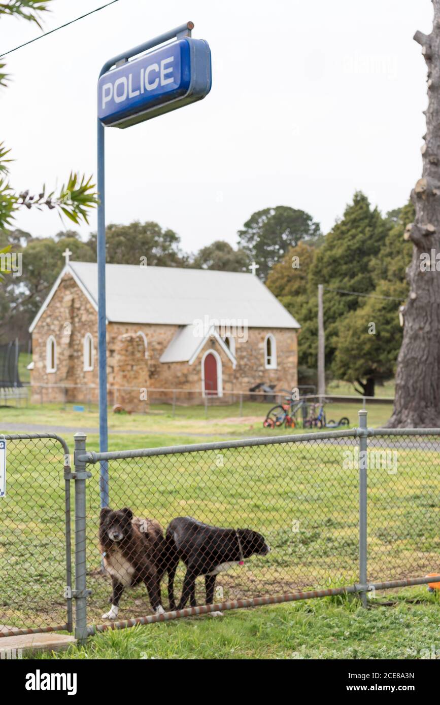 Two dogs behind a fence under the country NSW Police sign with the All ...