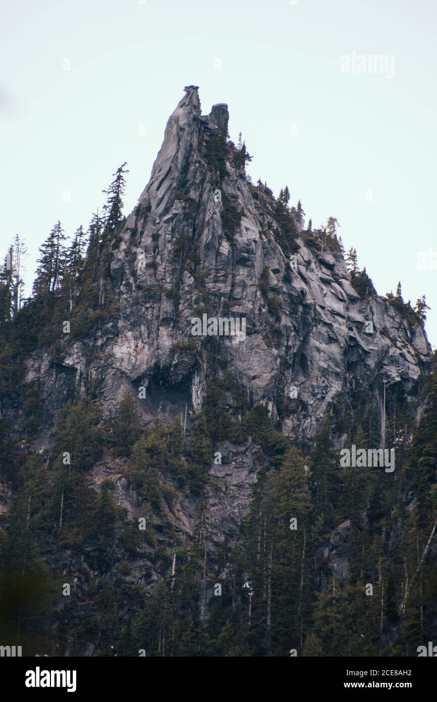 Low angle shot of a rocky cliff landscape with trees Stock Photo - Alamy