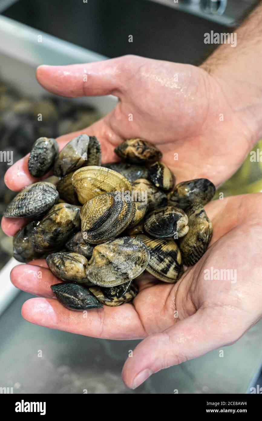 Clam seller hi-res stock photography and images - Alamy