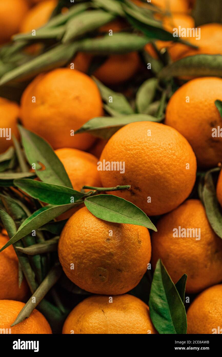 Closeup of heap of ripe orange placed on stall in local grocery market ...