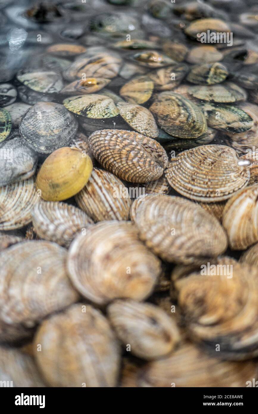 Cockle stall hi-res stock photography and images - Alamy