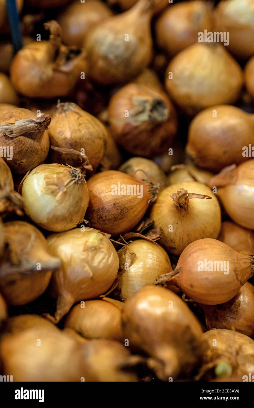 High angle of pile of ripe onions placed on stall in local grocery ...