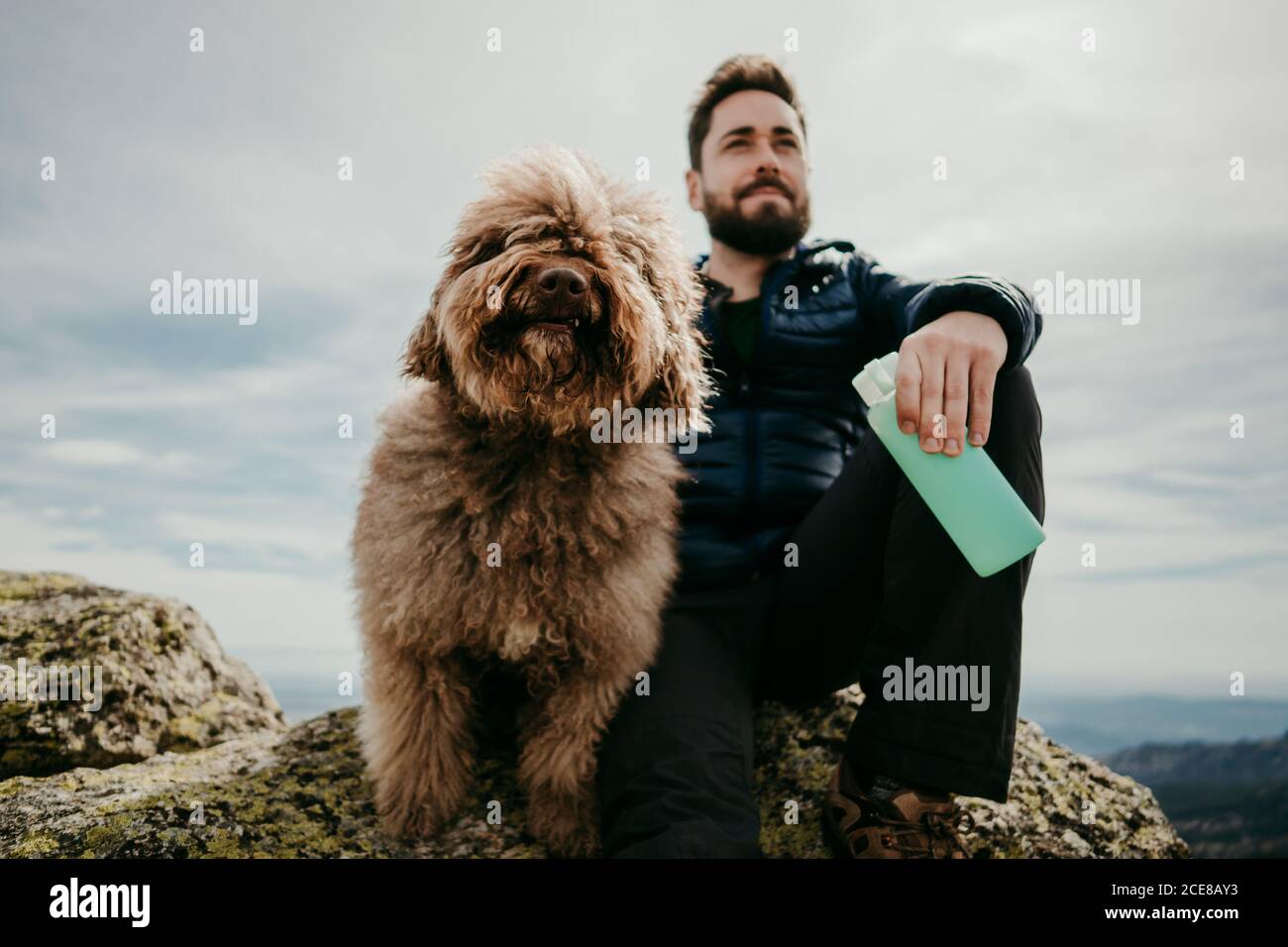 Labradoodle on vacation hi-res stock photography and images - Alamy