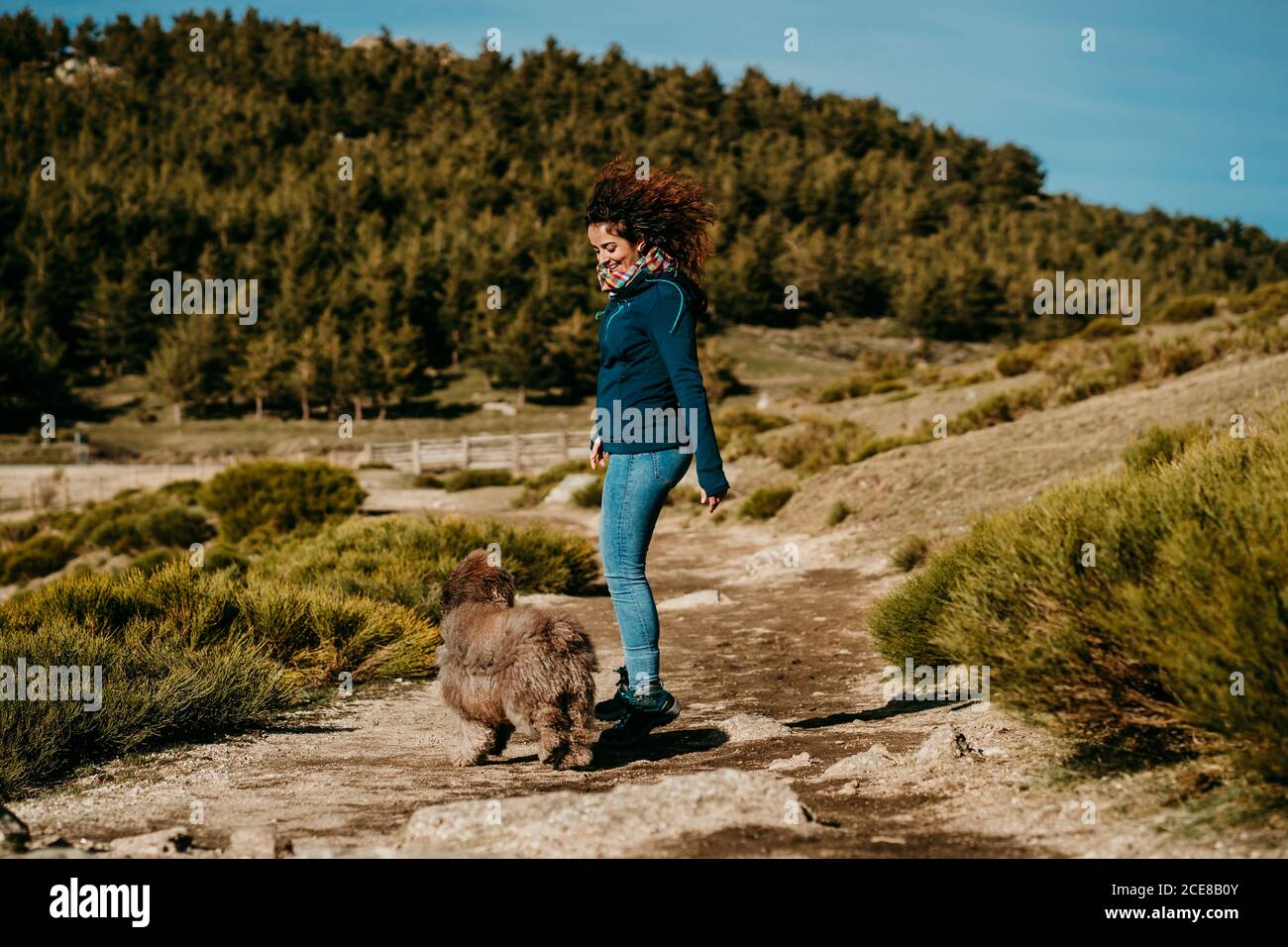 Side view of happy female smiling and following fluffy Labradoodle ...