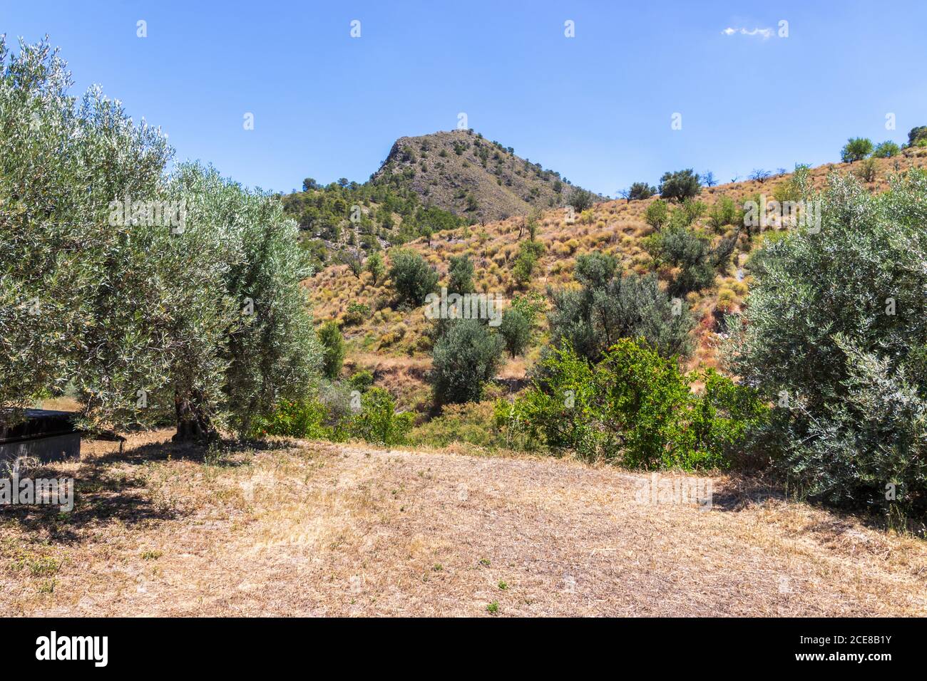Andalusia landscapes hi-res stock photography and images - Alamy