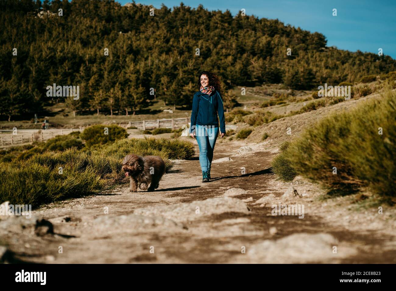 Labradoodle on vacation hi-res stock photography and images - Alamy